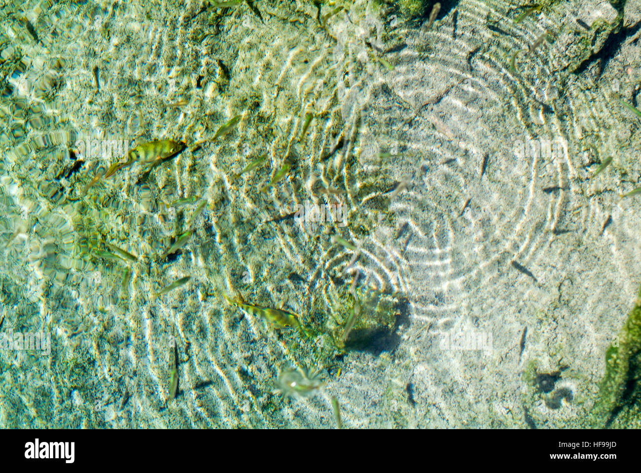 Ripples on water on a natural pool Stock Photo - Alamy