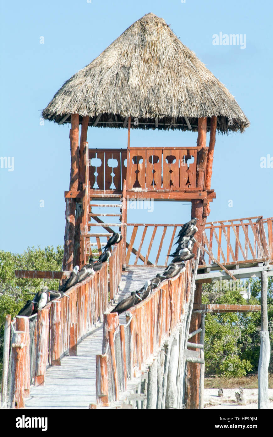 Gullah gullah island hi-res stock photography and images - Alamy