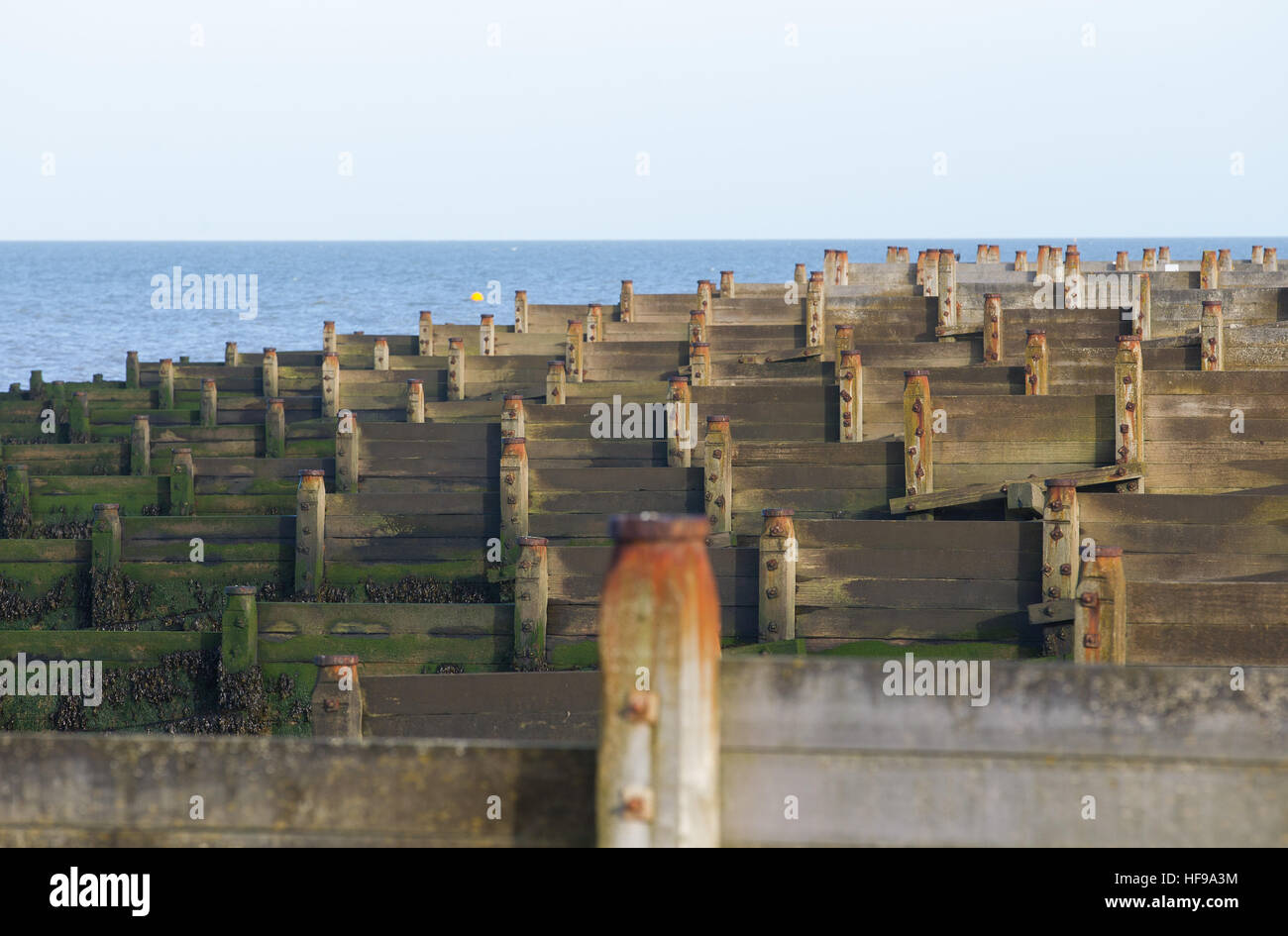 Costal defence groynes in Whitstable to prevent Longshore drift Stock ...