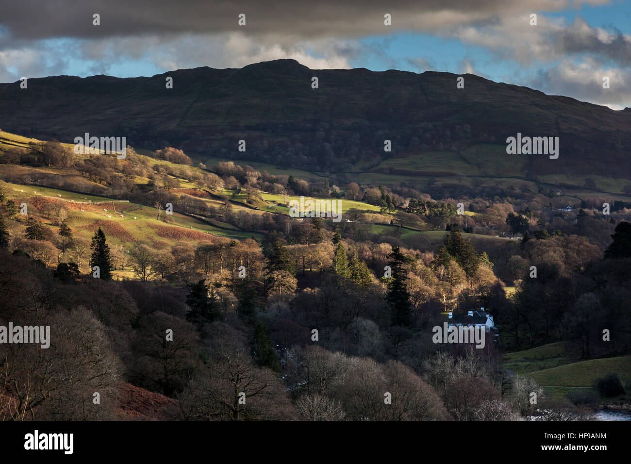 Sunlight on High Park, beneath Wansfell Pike, near Ambleside, Lake ...