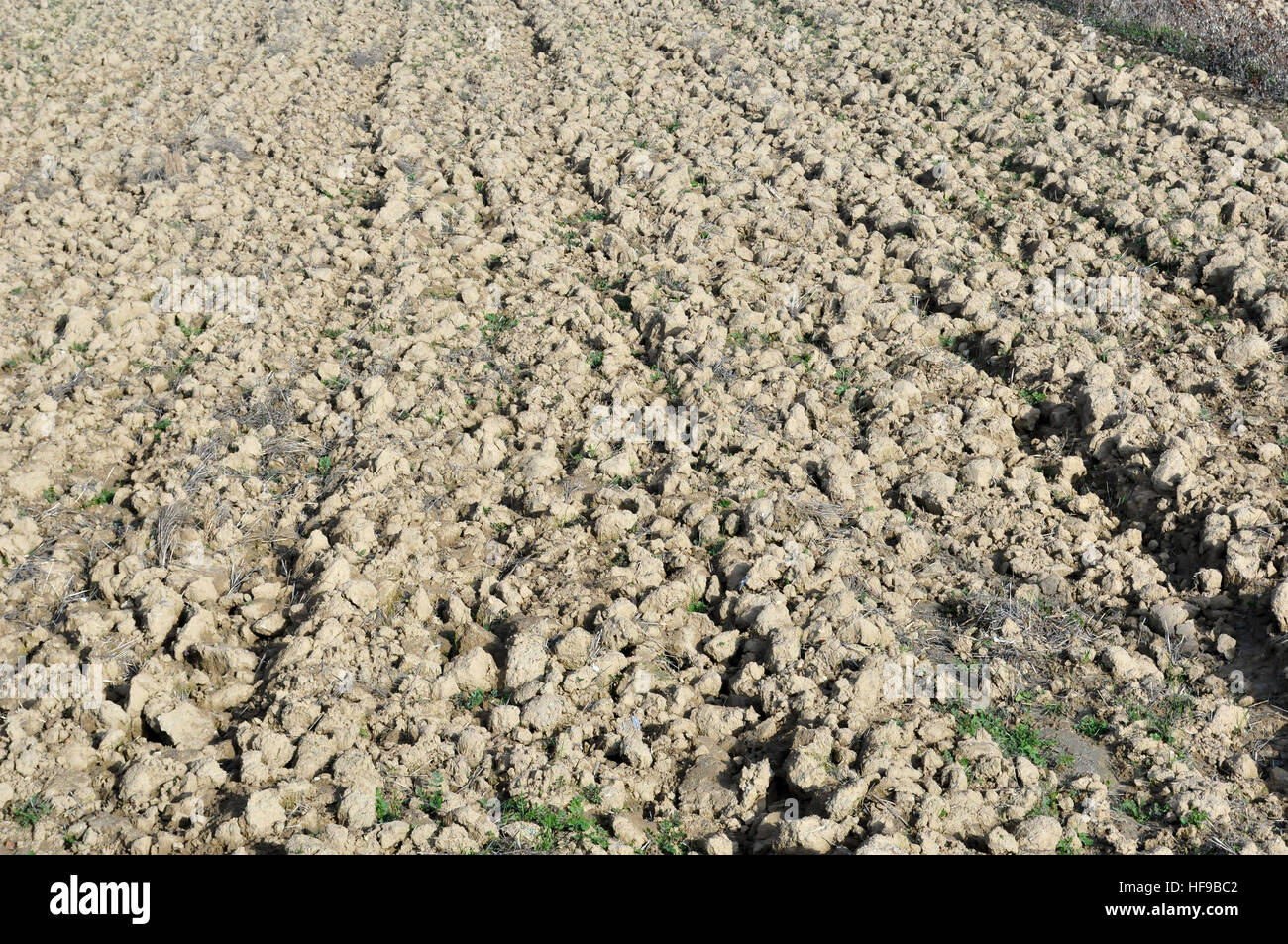 texture fallow land Stock Photo - Alamy