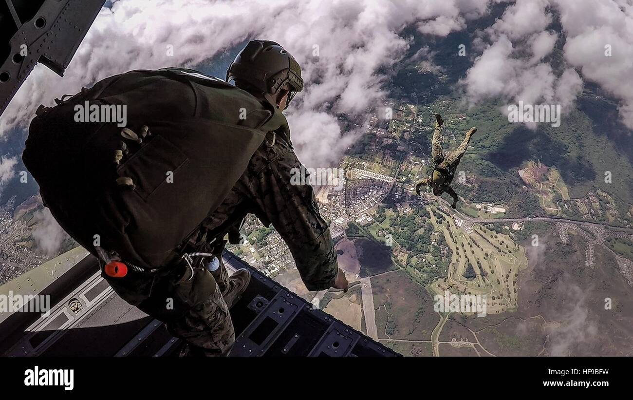 U.S. Marine soldiers jump out of the back of an aircraft during free ...