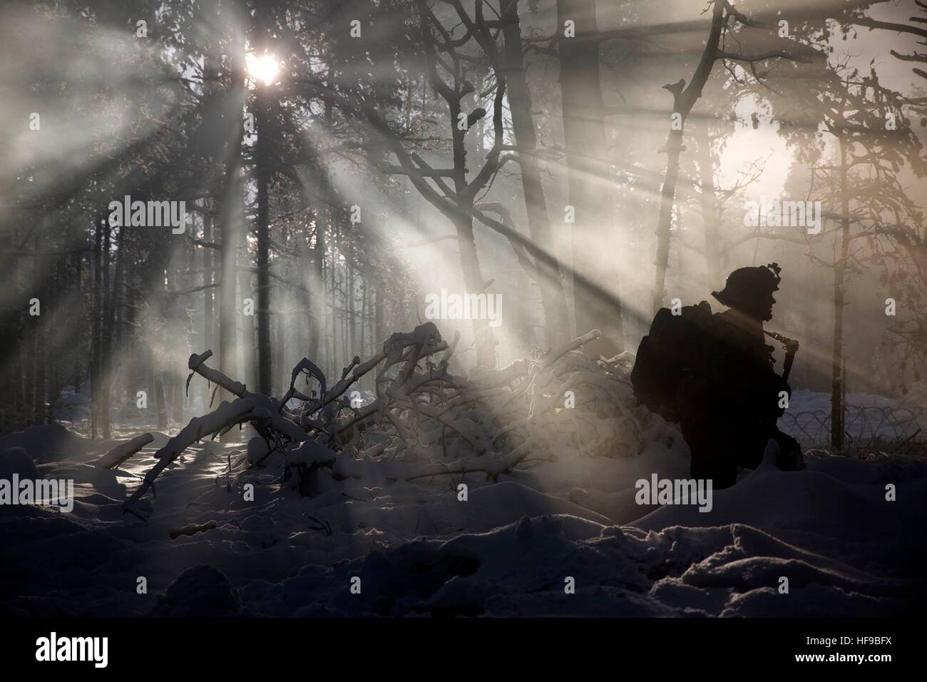 The sun shines through the trees as a U.S. Marine soldier walks through ...