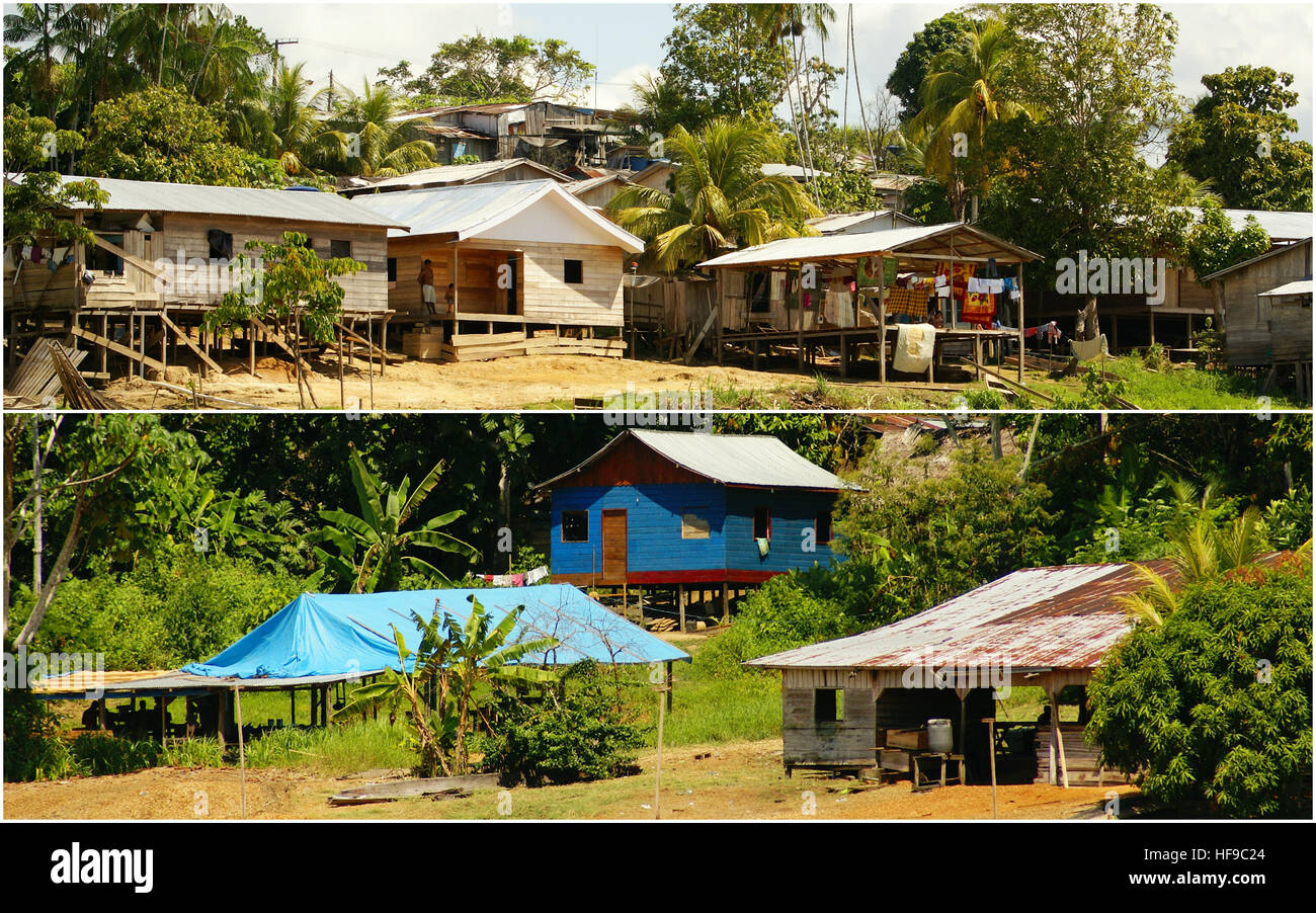 Collage of amazonia,Peru (my photos Stock Photo - Alamy