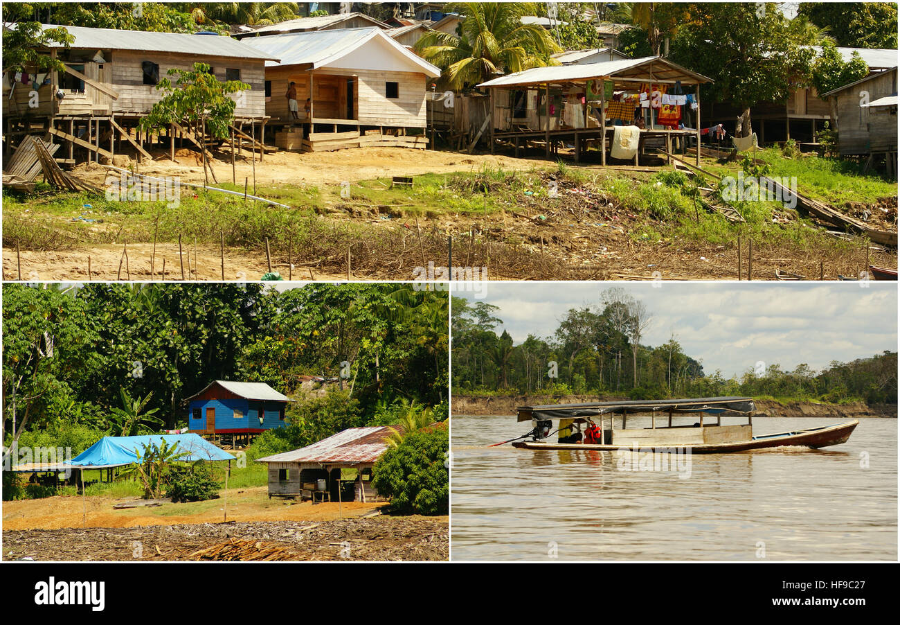 Collage of amazonia,Peru (my photos Stock Photo - Alamy