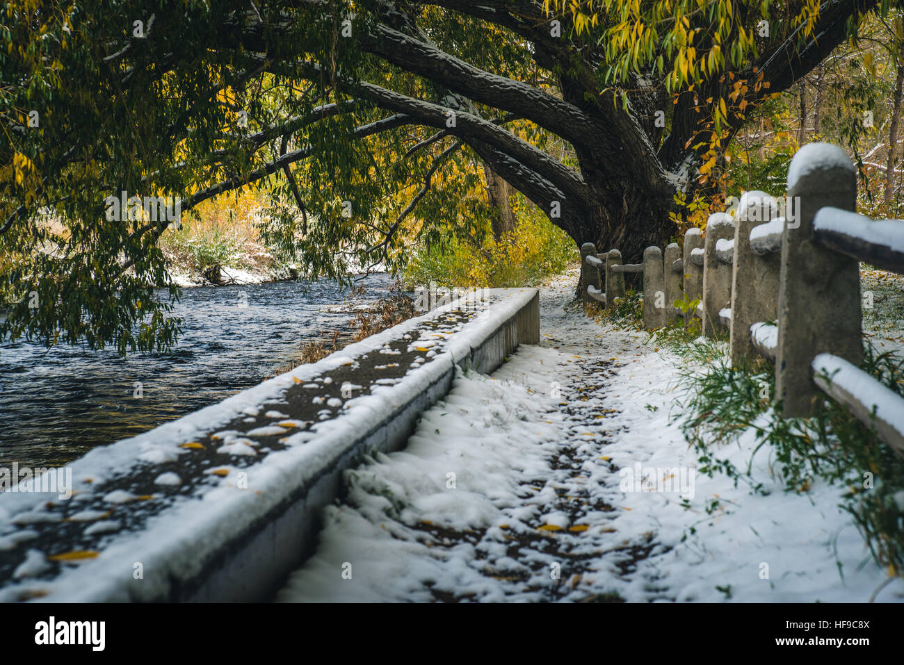 Snow covered path Stock Photo - Alamy