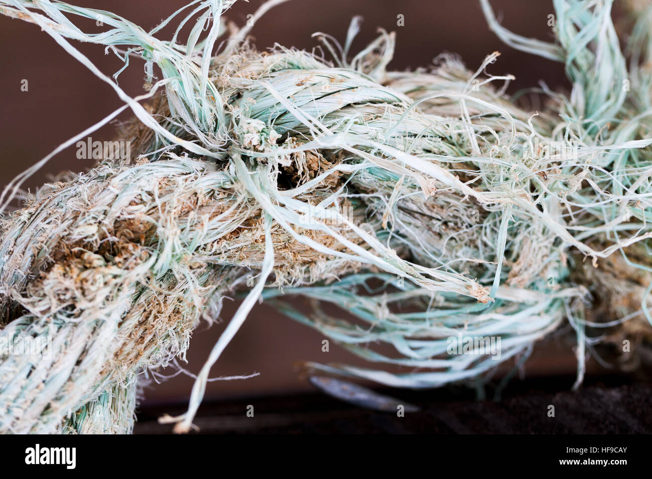 Frayed rope hi-res stock photography and images - Alamy