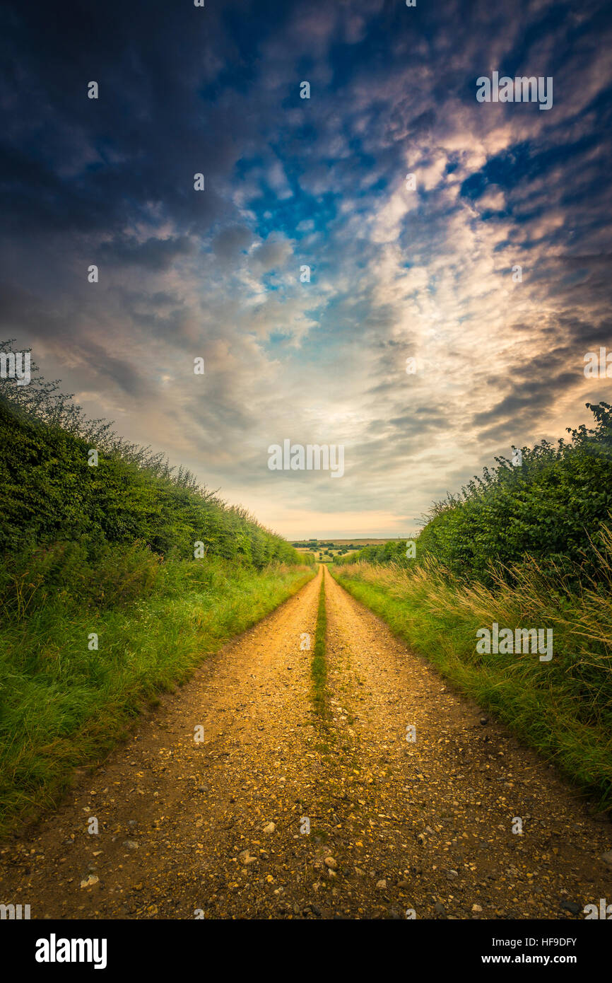 A farm track in Norfolk at Dawn Stock Photo - Alamy
