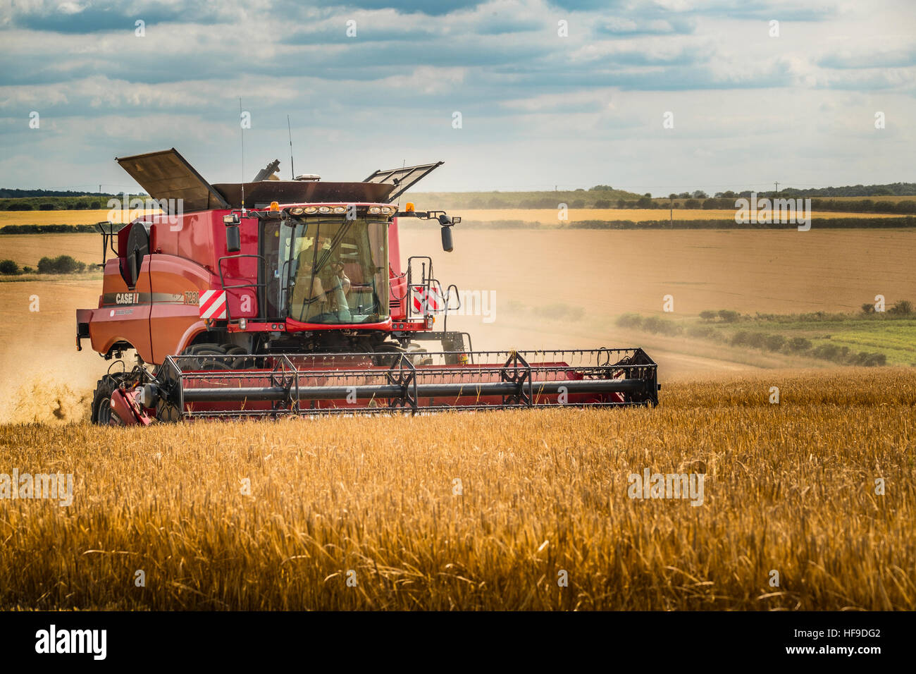 Combining a large barley field Stock Photo - Alamy