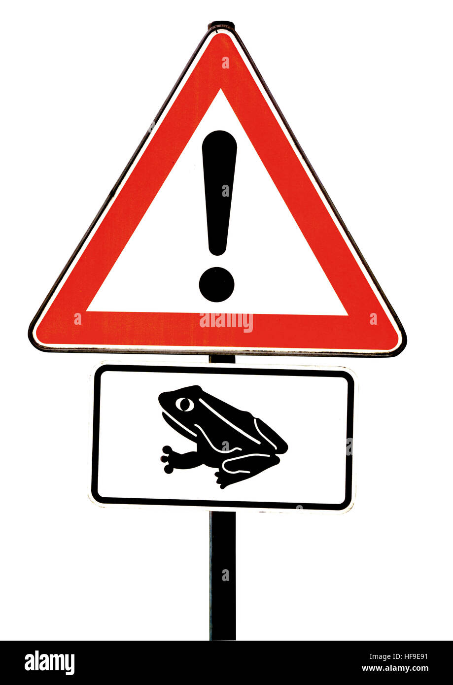 Toad crossing hi-res stock photography and images - Alamy