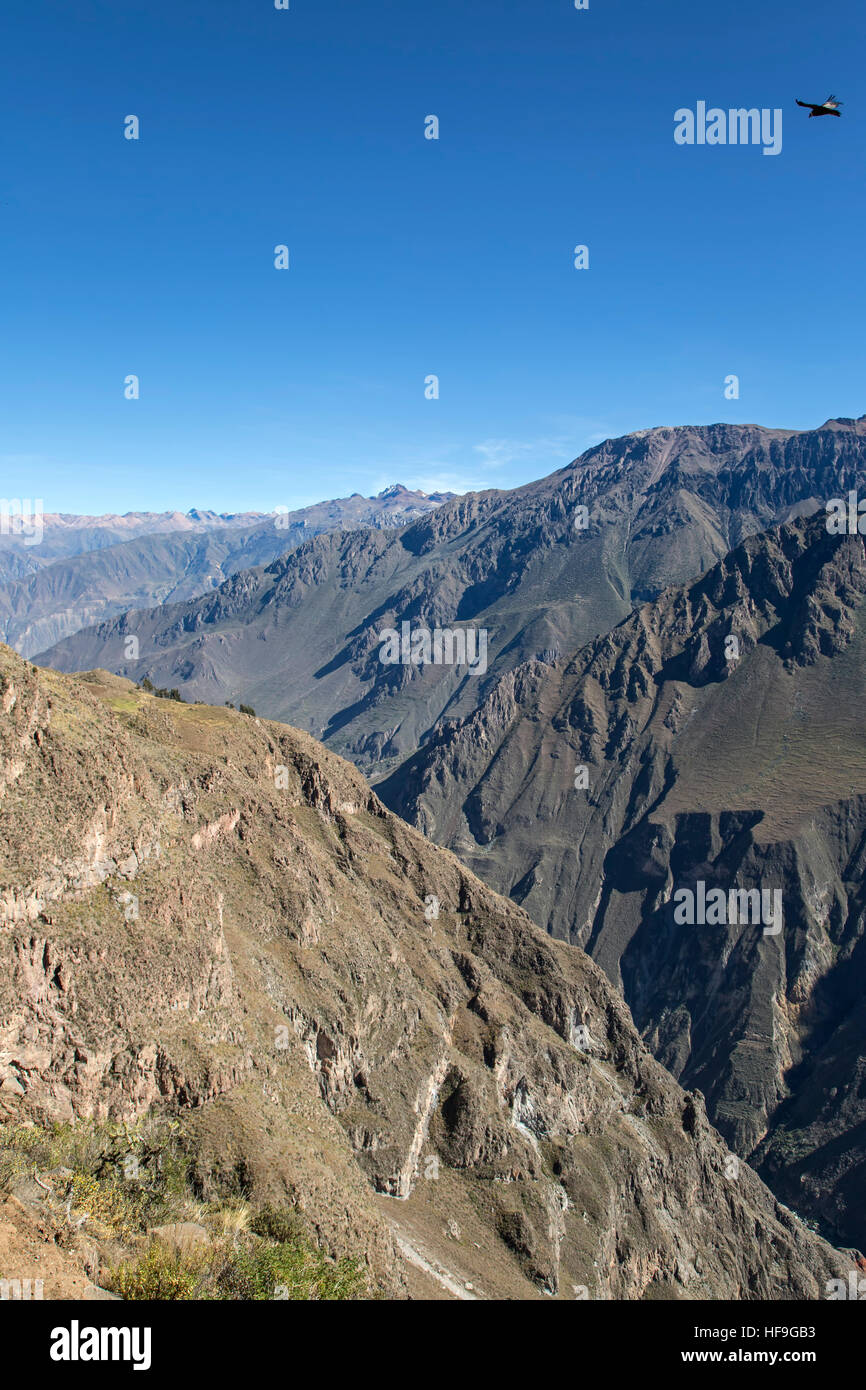 Colca Canyon from Cross of the Condor Overlook, Arequipa, Peru Stock ...