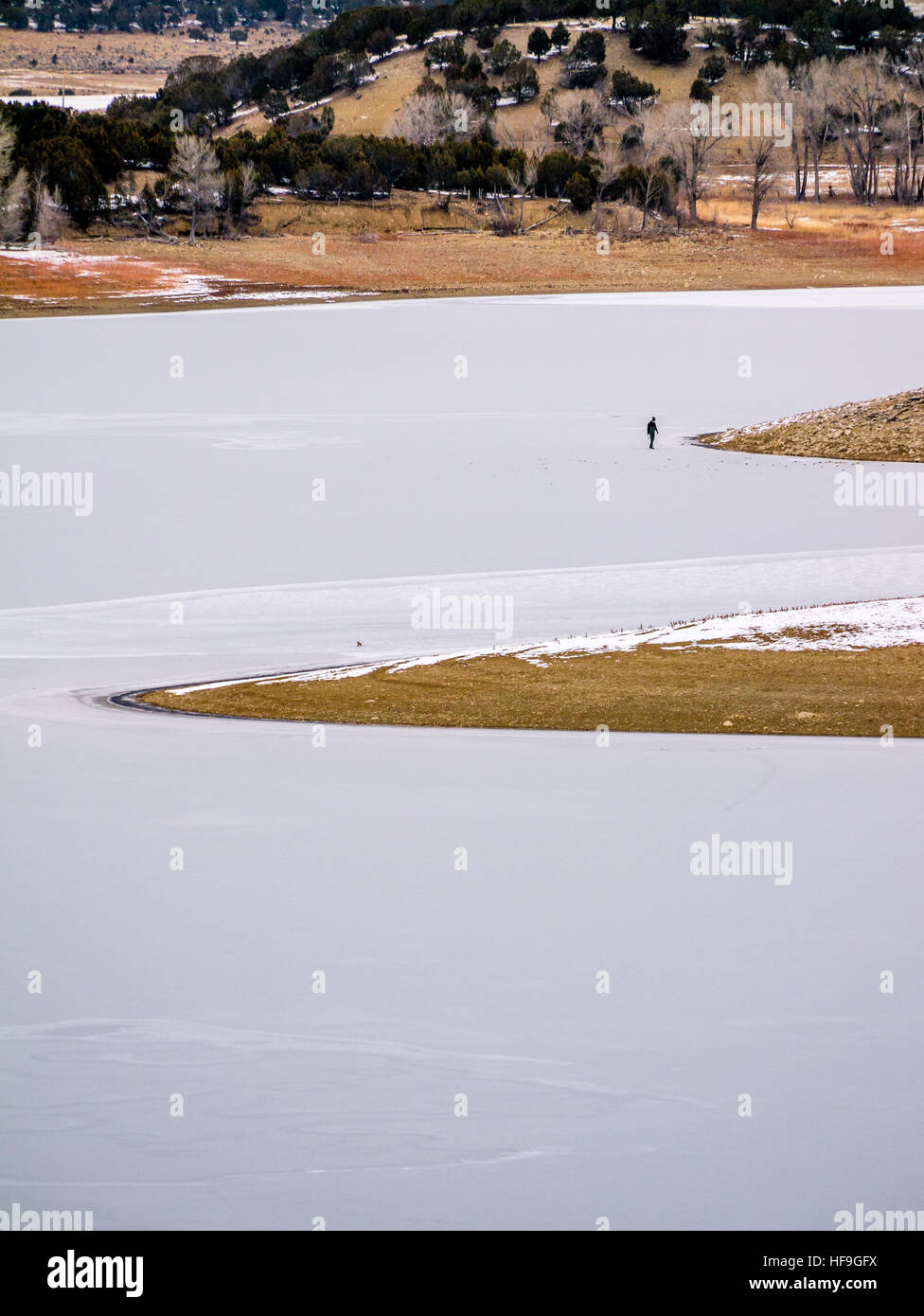 Fish frozen in lake hi-res stock photography and images - Alamy