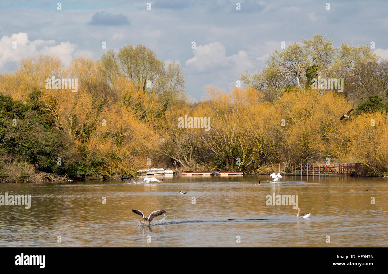 Of hainault hi-res stock photography and images - Alamy