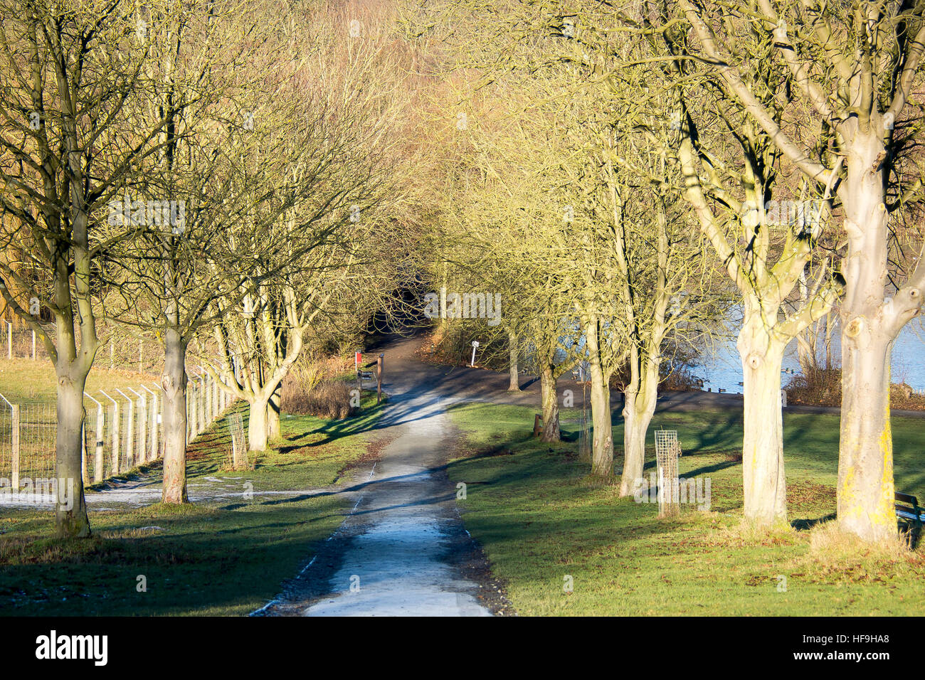 Nature Photography in Weald County Park Stock Photo - Alamy