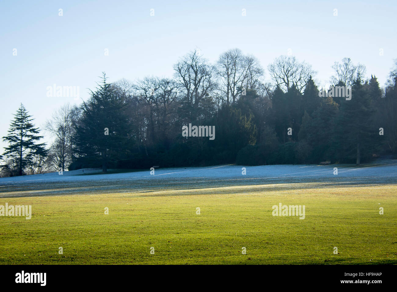Nature Photography in Weald County Park Stock Photo - Alamy