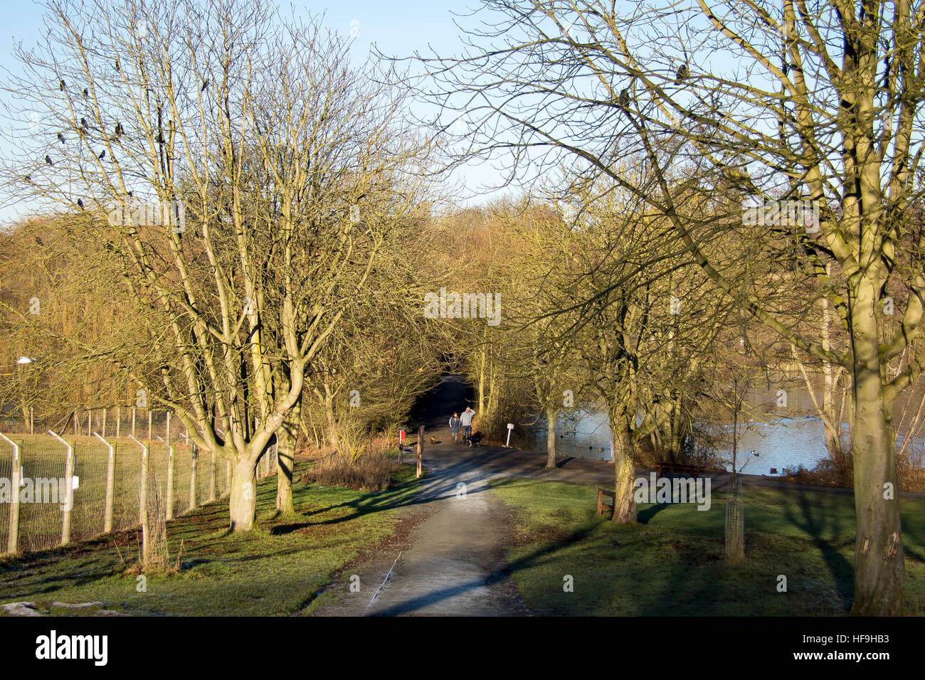 Nature Photography in Weald County Park Stock Photo - Alamy