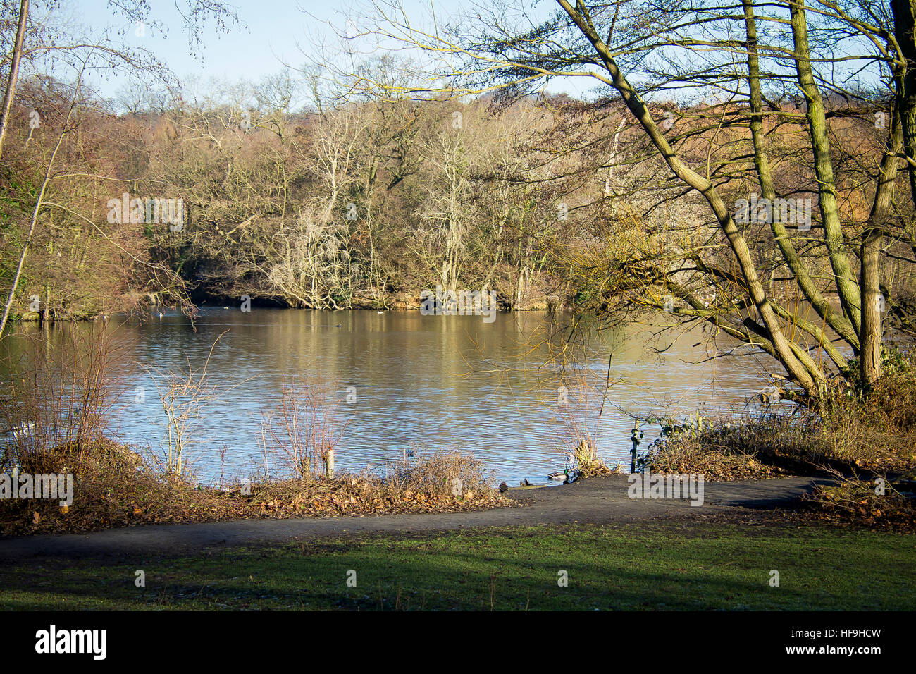Nature Photography in Weald County Park Stock Photo - Alamy