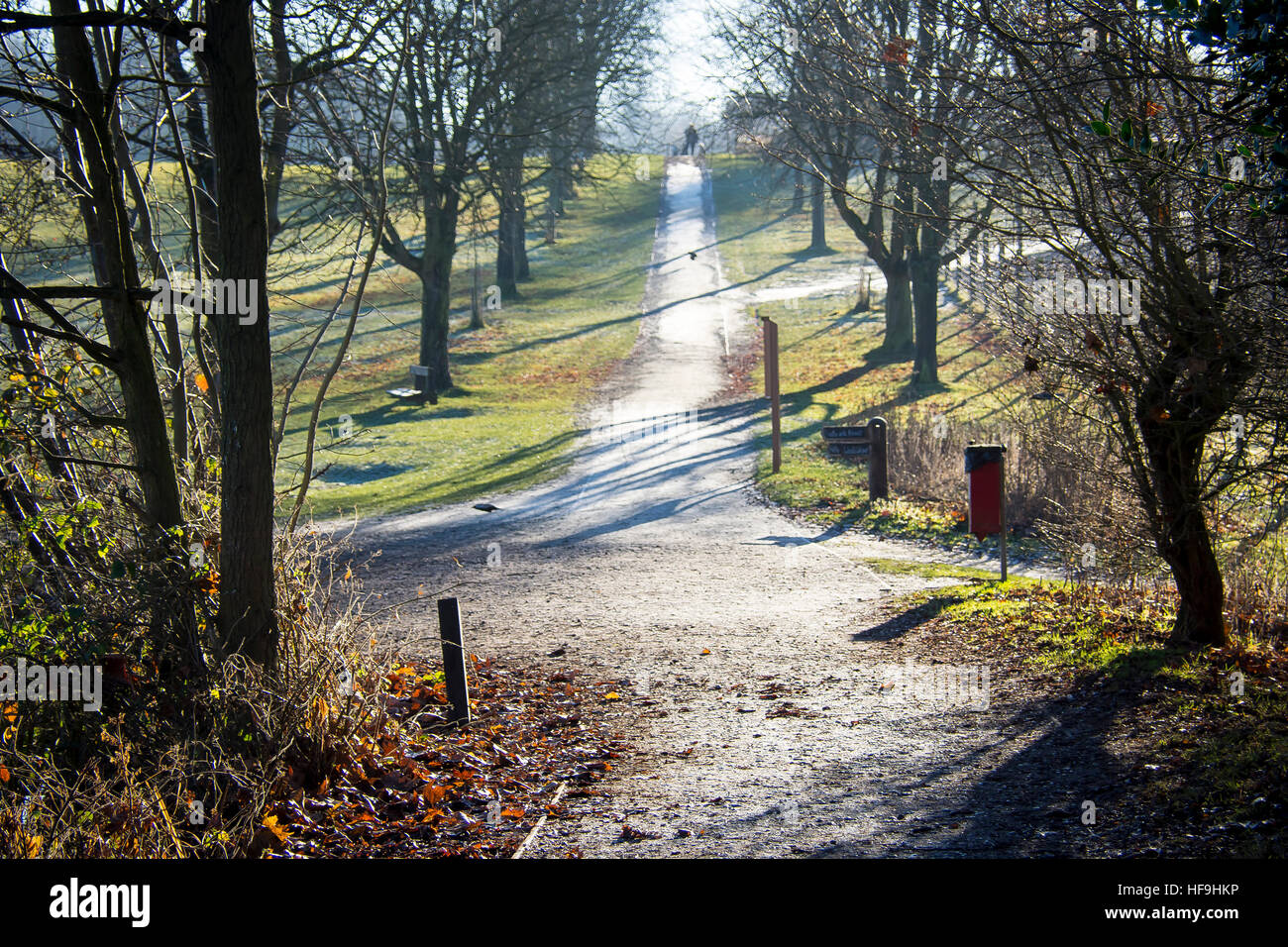 Nature Photography in Weald County Park Stock Photo - Alamy