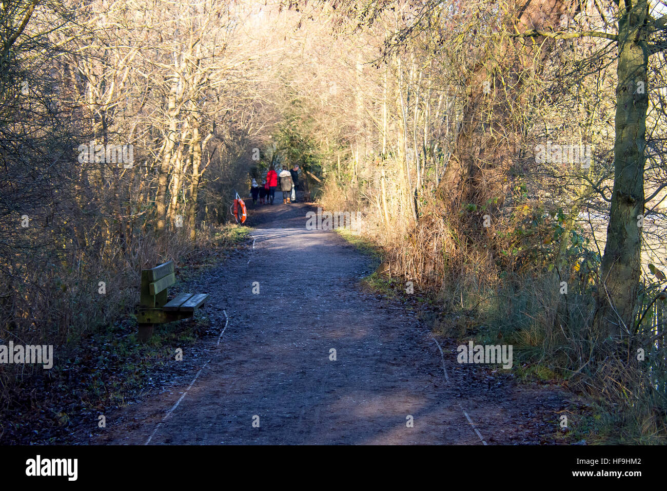 Nature Photography in Weald County Park Stock Photo - Alamy