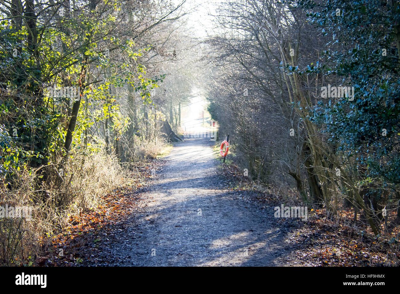 Nature Photography in Weald County Park Stock Photo - Alamy