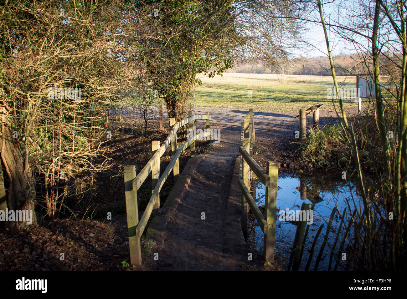 Nature Photography in Weald County Park Stock Photo - Alamy