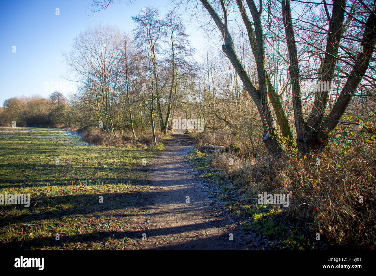 Nature Photography in Weald County Park Stock Photo - Alamy