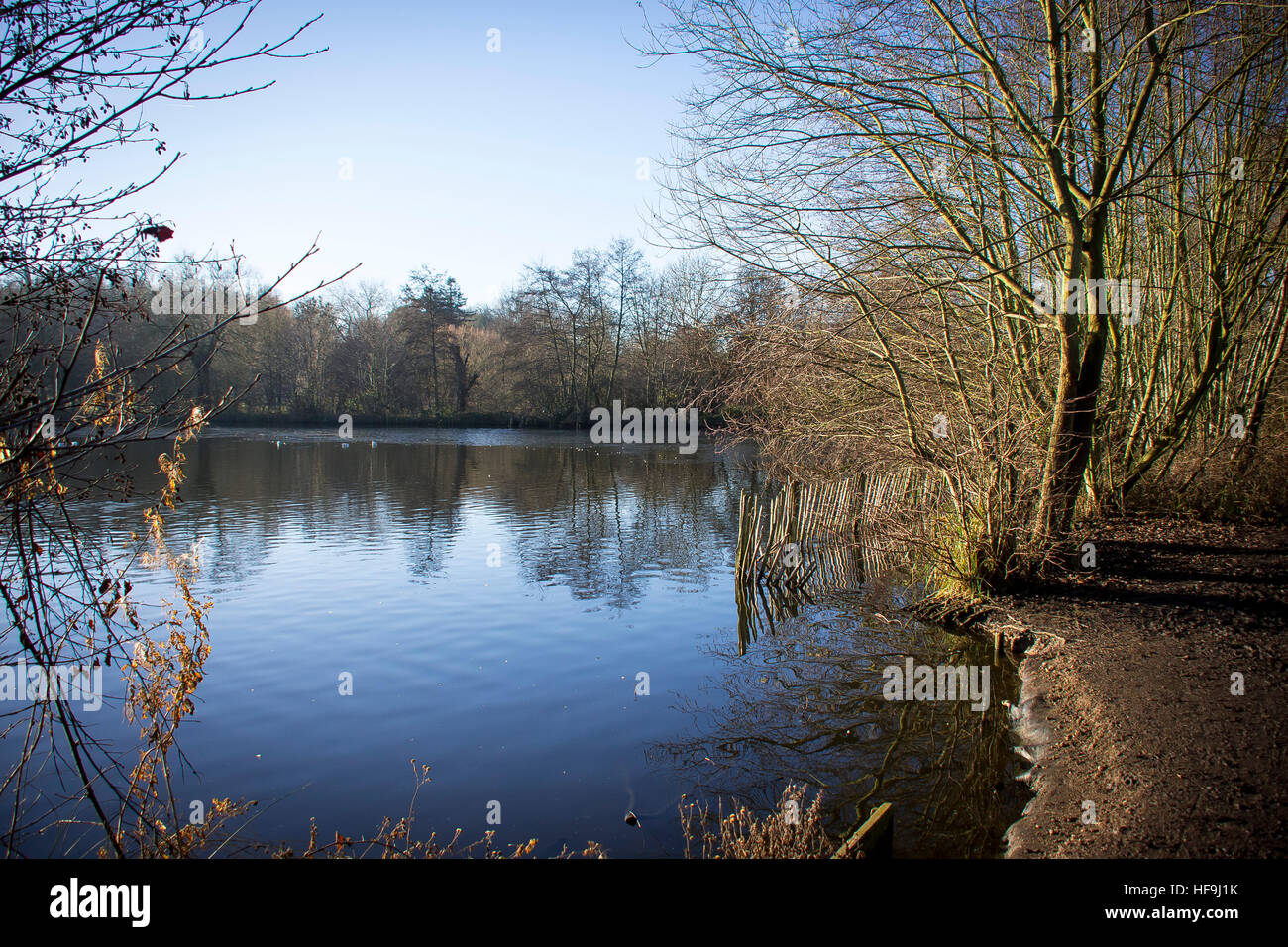 Nature Photography in Weald County Park Stock Photo - Alamy