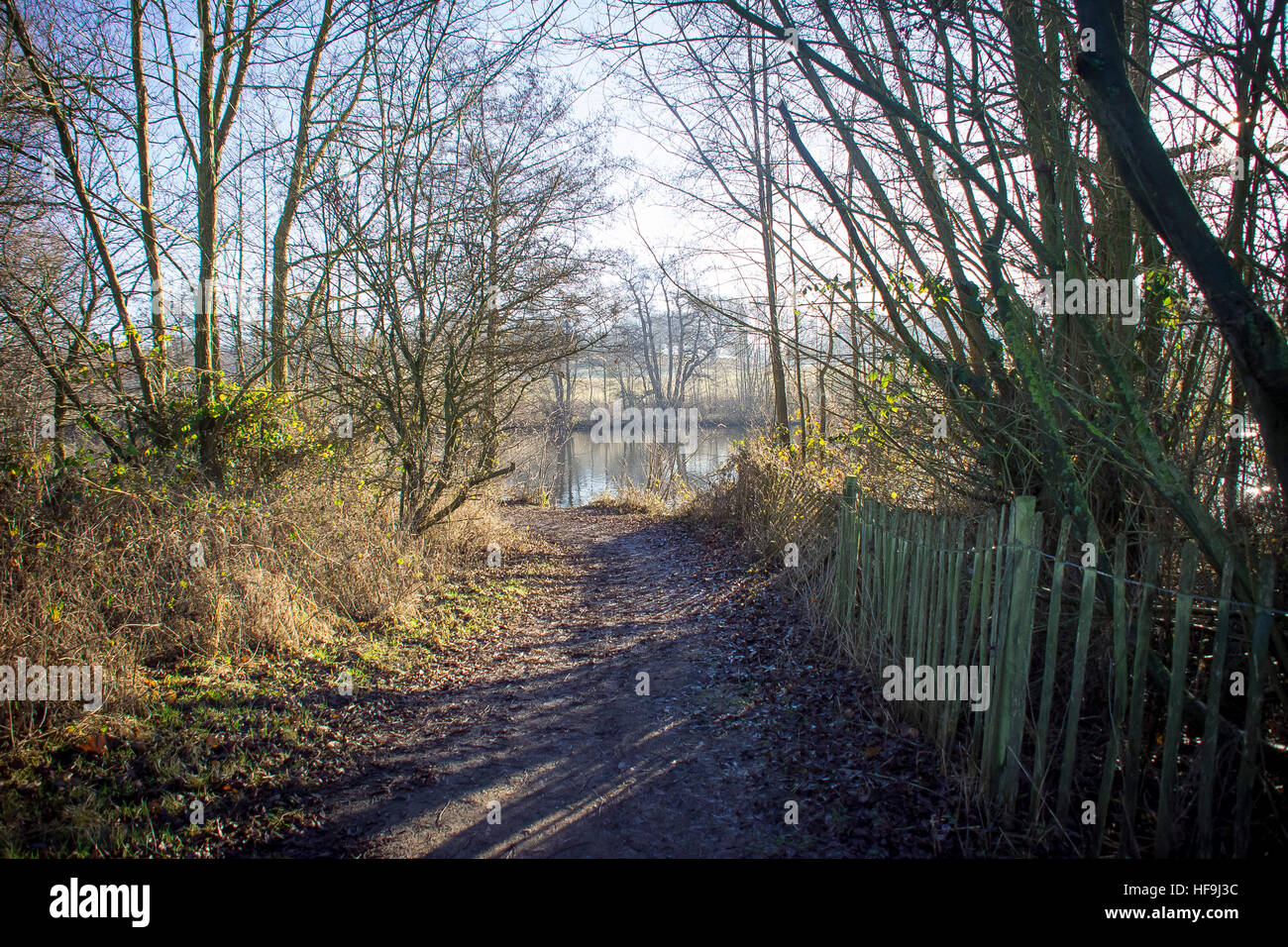 Brentwood essex weald country park hi-res stock photography and images ...