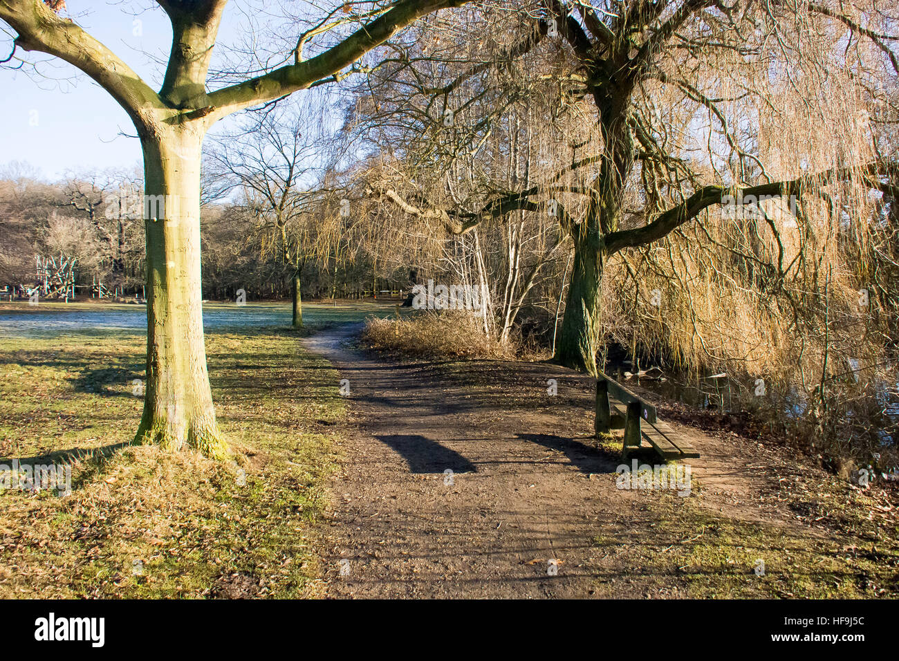 Nature Photography in Weald County Park Stock Photo - Alamy