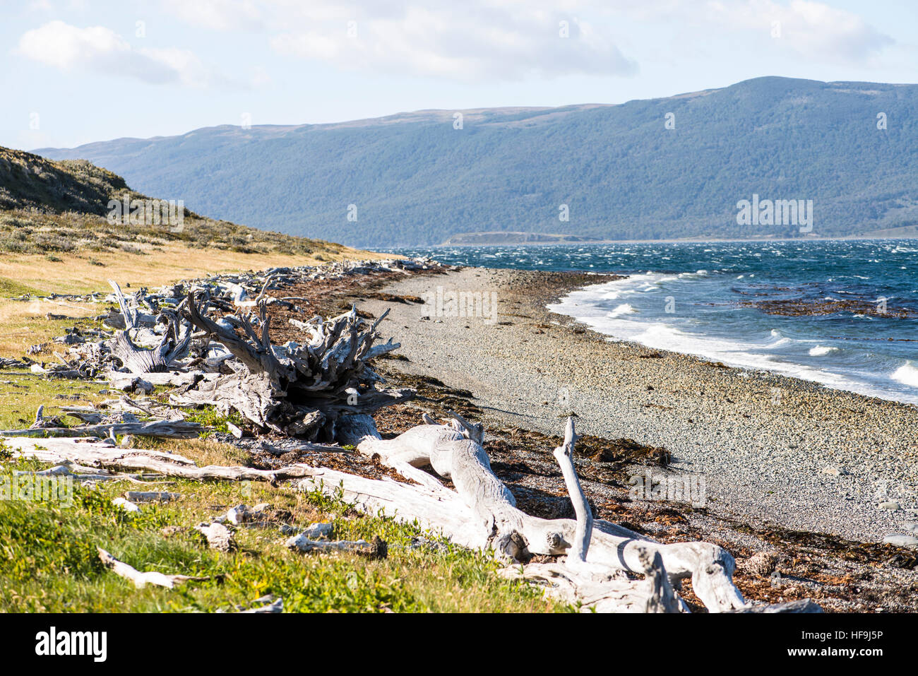 Patagonian sea hi-res stock photography and images - Alamy