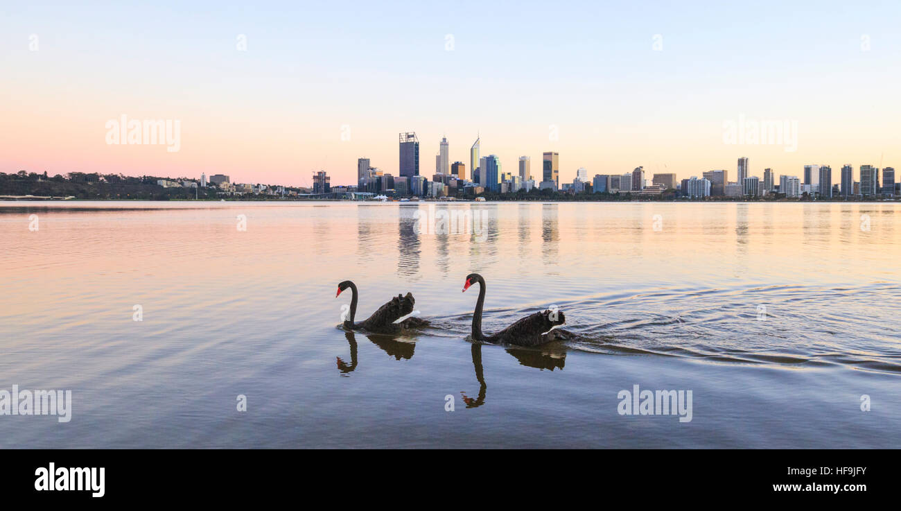 Swan river western australia hi-res stock photography and images - Alamy