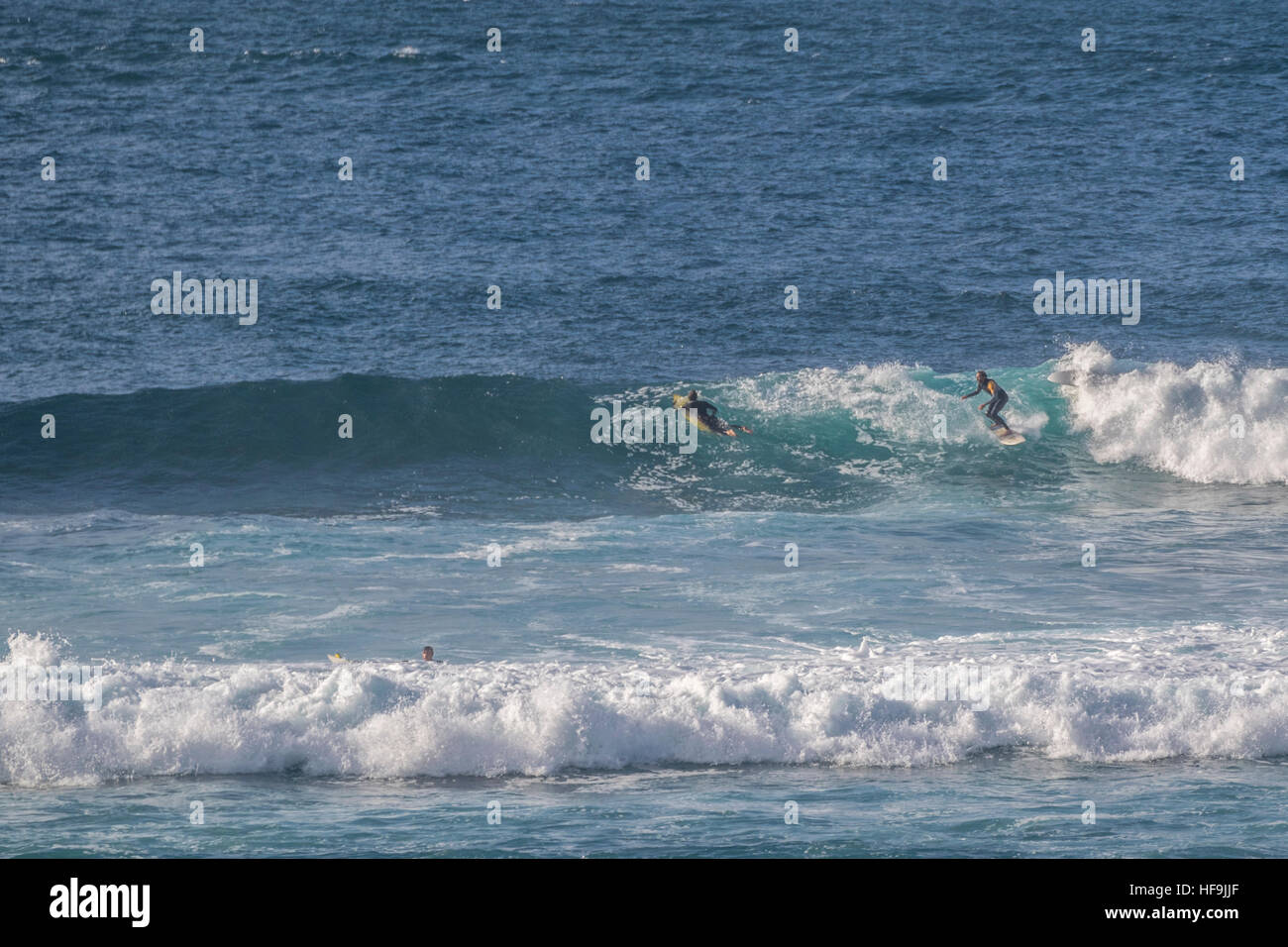 Surfer surfing a wave in Fuerteventura, Canary Islands Stock Photo - Alamy
