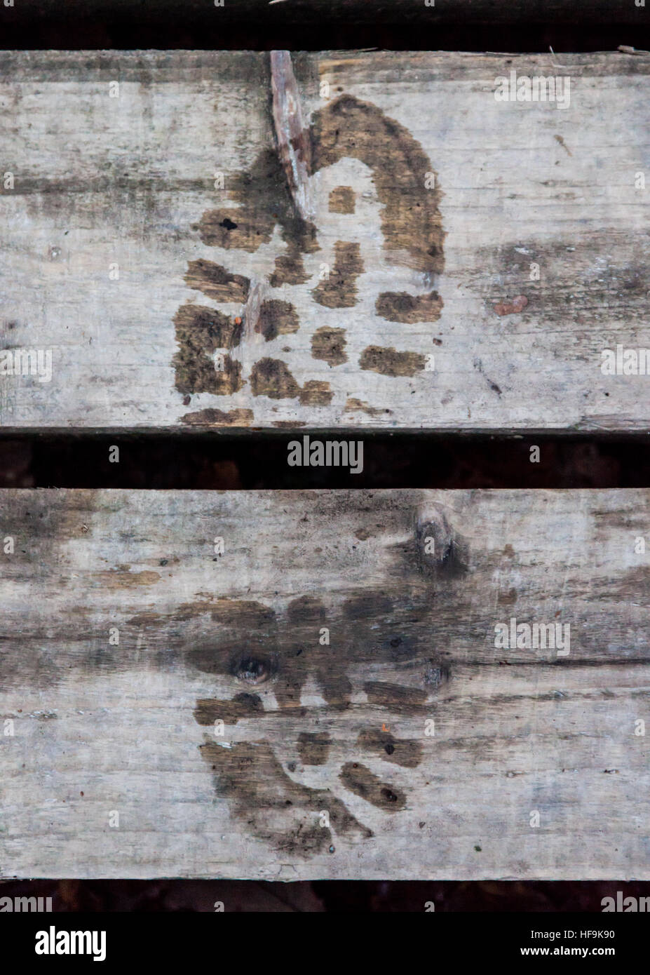 Lake district winter hiking forward hi-res stock photography and images ...