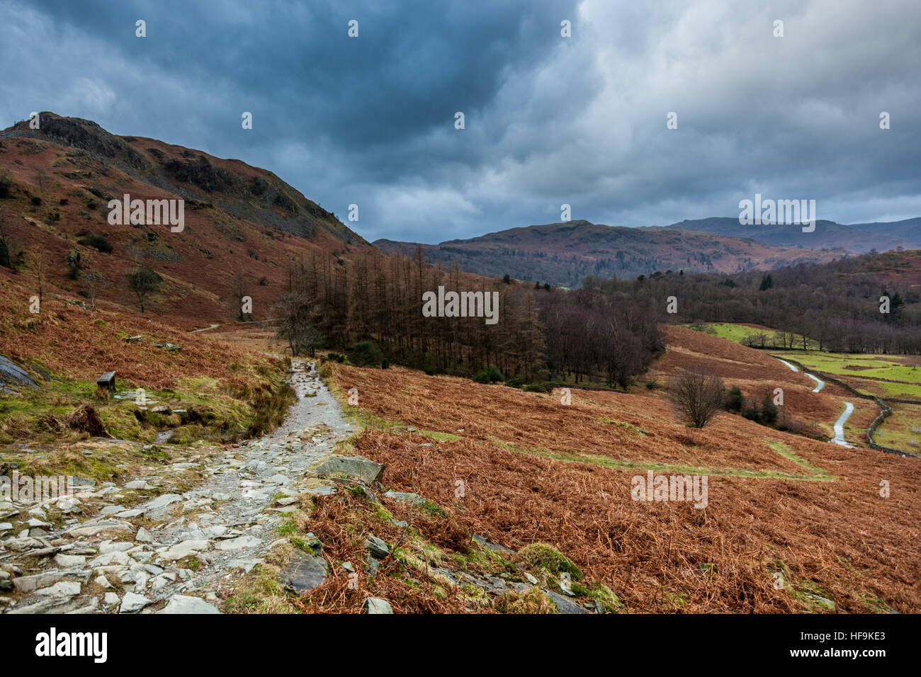 Loughrigg Terrace, looking towards Silver Howe, near Grasmere, Lake ...