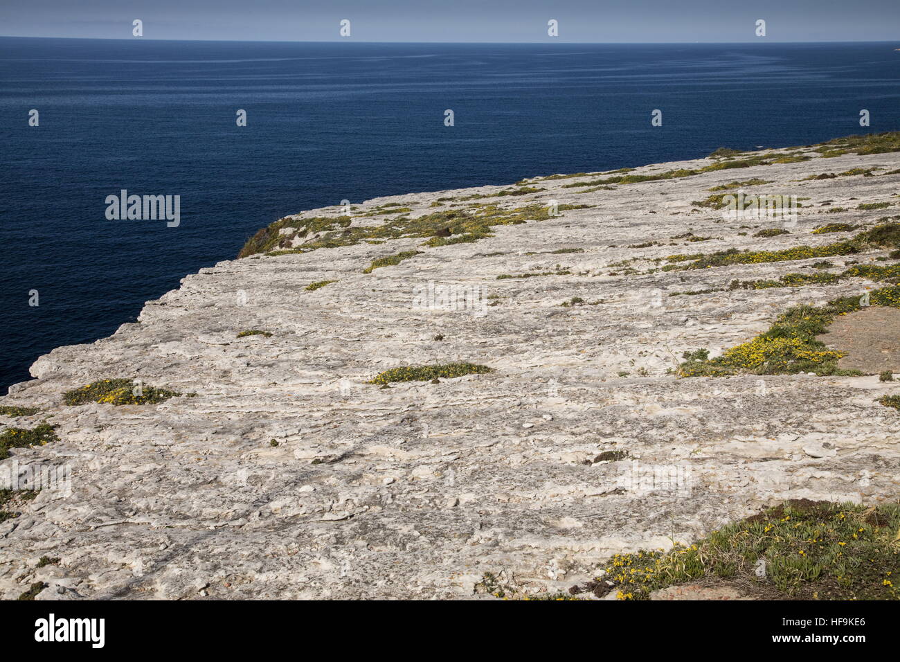 Miocene hi-res stock photography and images - Alamy