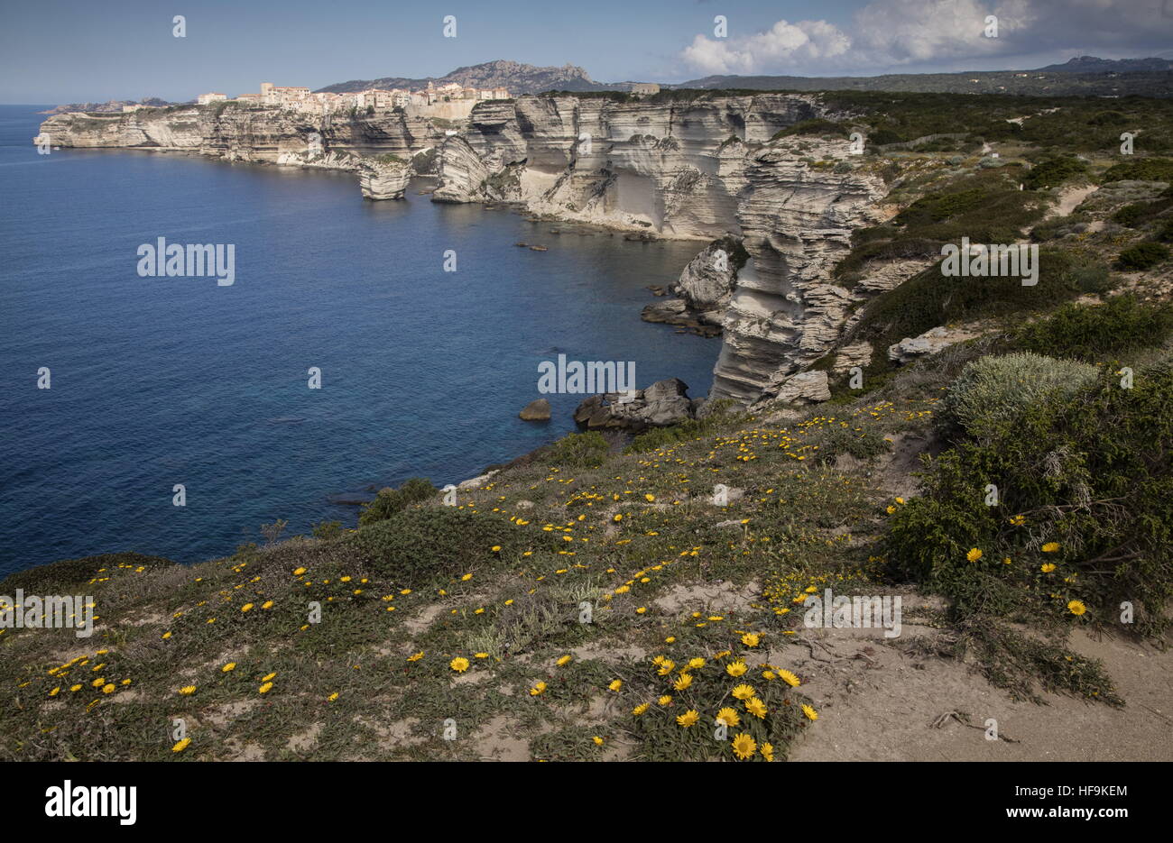 The old town of Bonifacio, on the Miocene Limestone cliffs, south ...