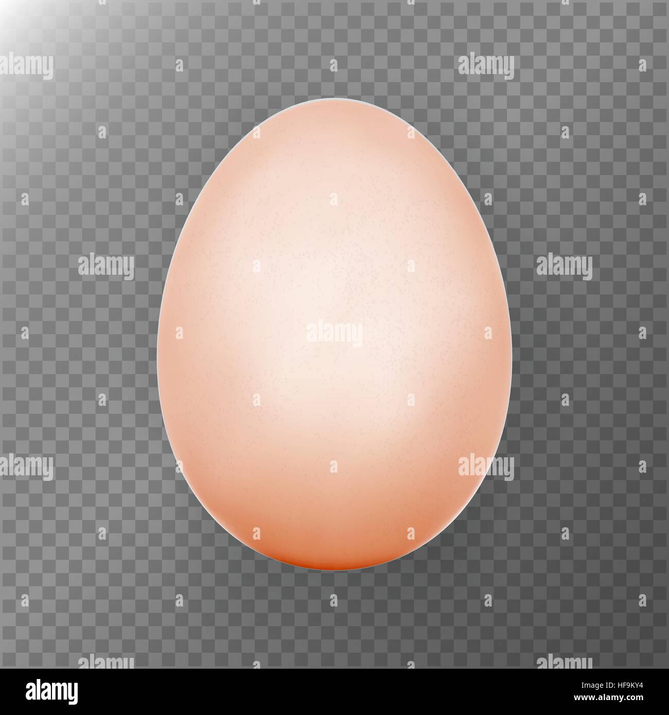 Chicken Egg. Transparent Background. Realistic Blank Of Natural ...
