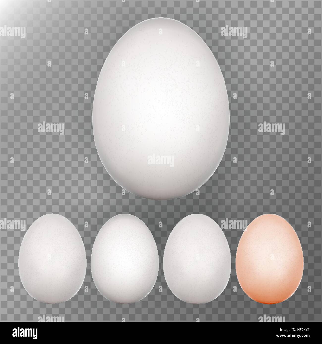 Chicken Egg Set. Transparent Background. Realistic Blank Of Natural ...