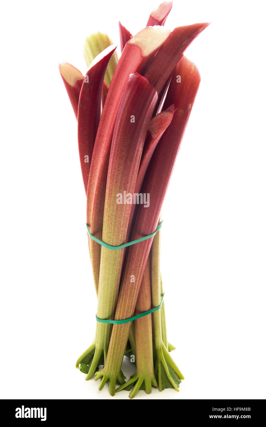 Bunch of rhubarb (Rheum rhabarbarum Stock Photo - Alamy