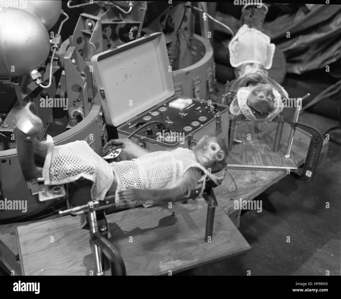 A photograph from the Atlas Collection showing a space shuttle on the ...