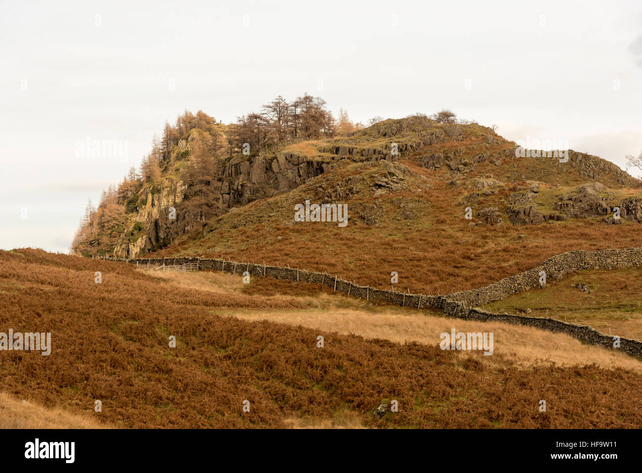 Castle crag rock formation near Borrowdale the Lake District Cumbria UK ...