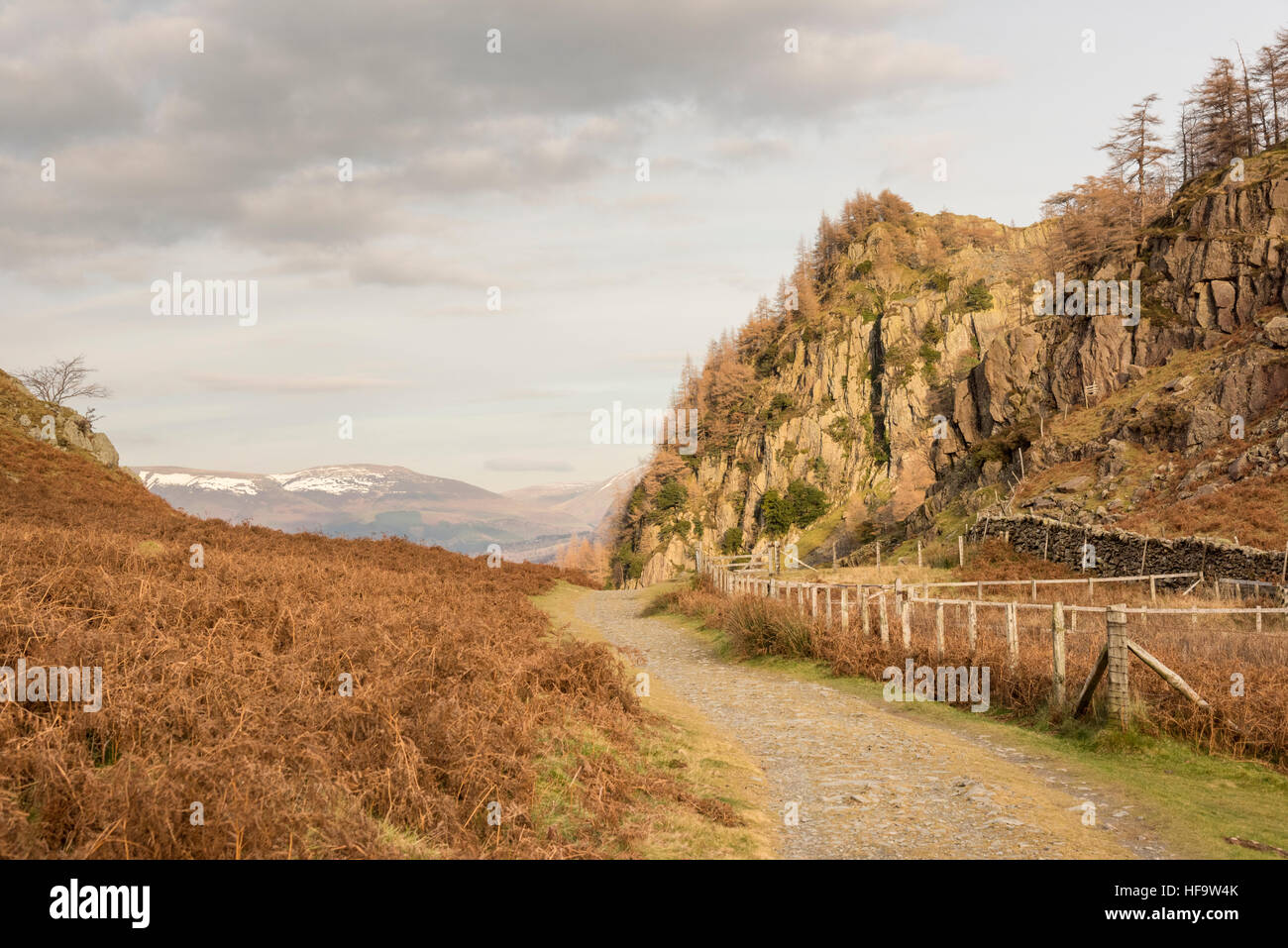 Castle crag rock formation near Borrowdale the Lake District Cumbria UK ...