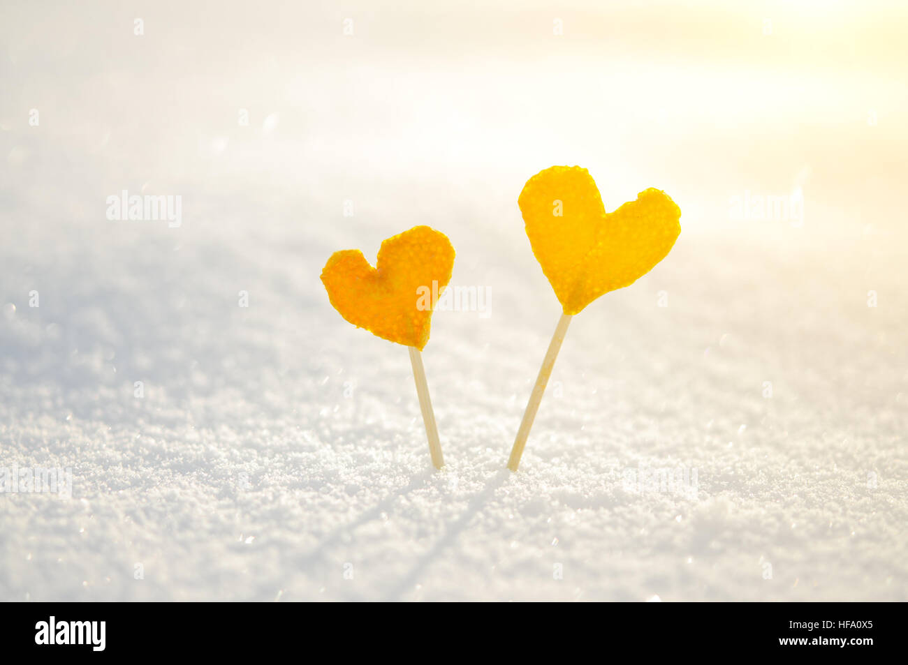 Two orange tangerine hearts on white snow background for love and St ...