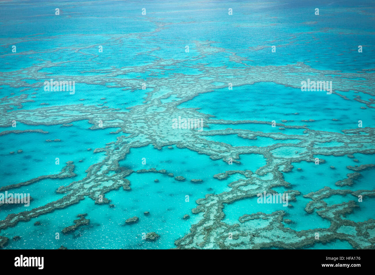 Great Barrier Reef from above, Queensland, Australia Stock Photo - Alamy