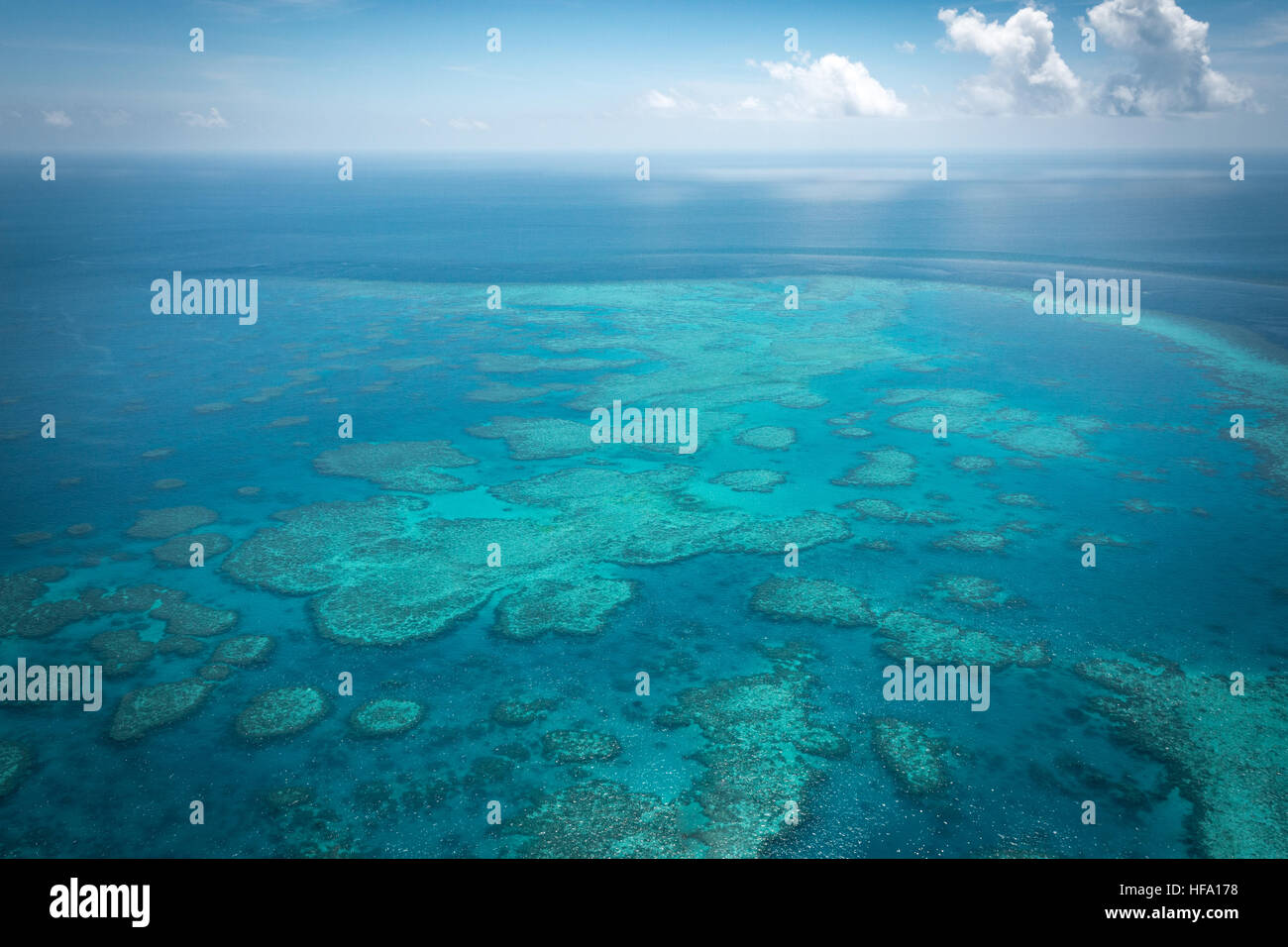 Sea world queensland hi-res stock photography and images - Alamy