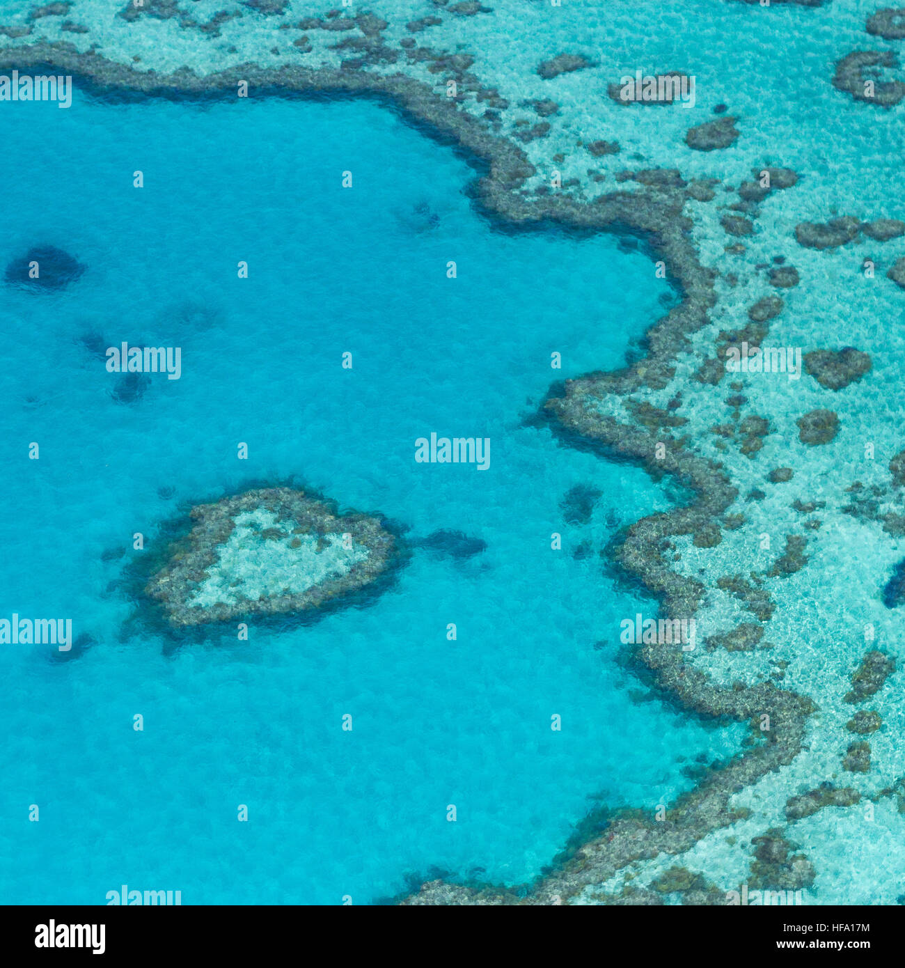 Great Barrier Reef from above, Queensland, Australia Stock Photo - Alamy
