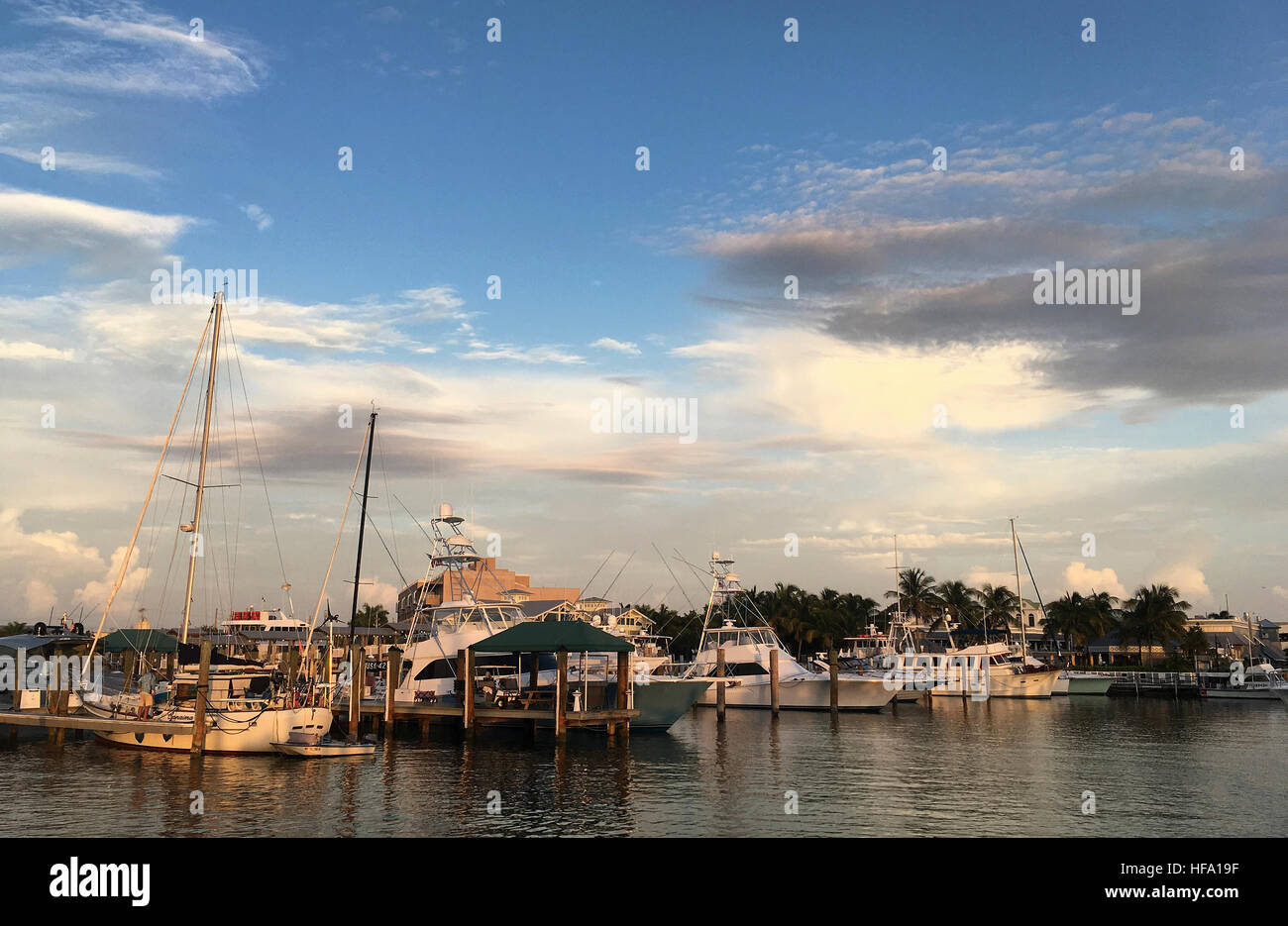 Bight marina florida hi-res stock photography and images - Alamy