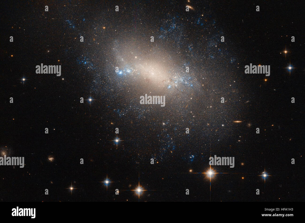 The Hubble Space Telescope captured this image of NGC 2337, a lopsided ...