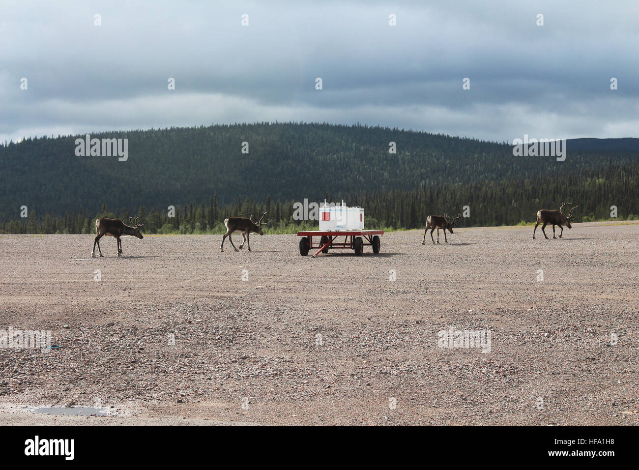 NASA's BARREL (Balloon Array for Radiation belt Relativistic Electron ...