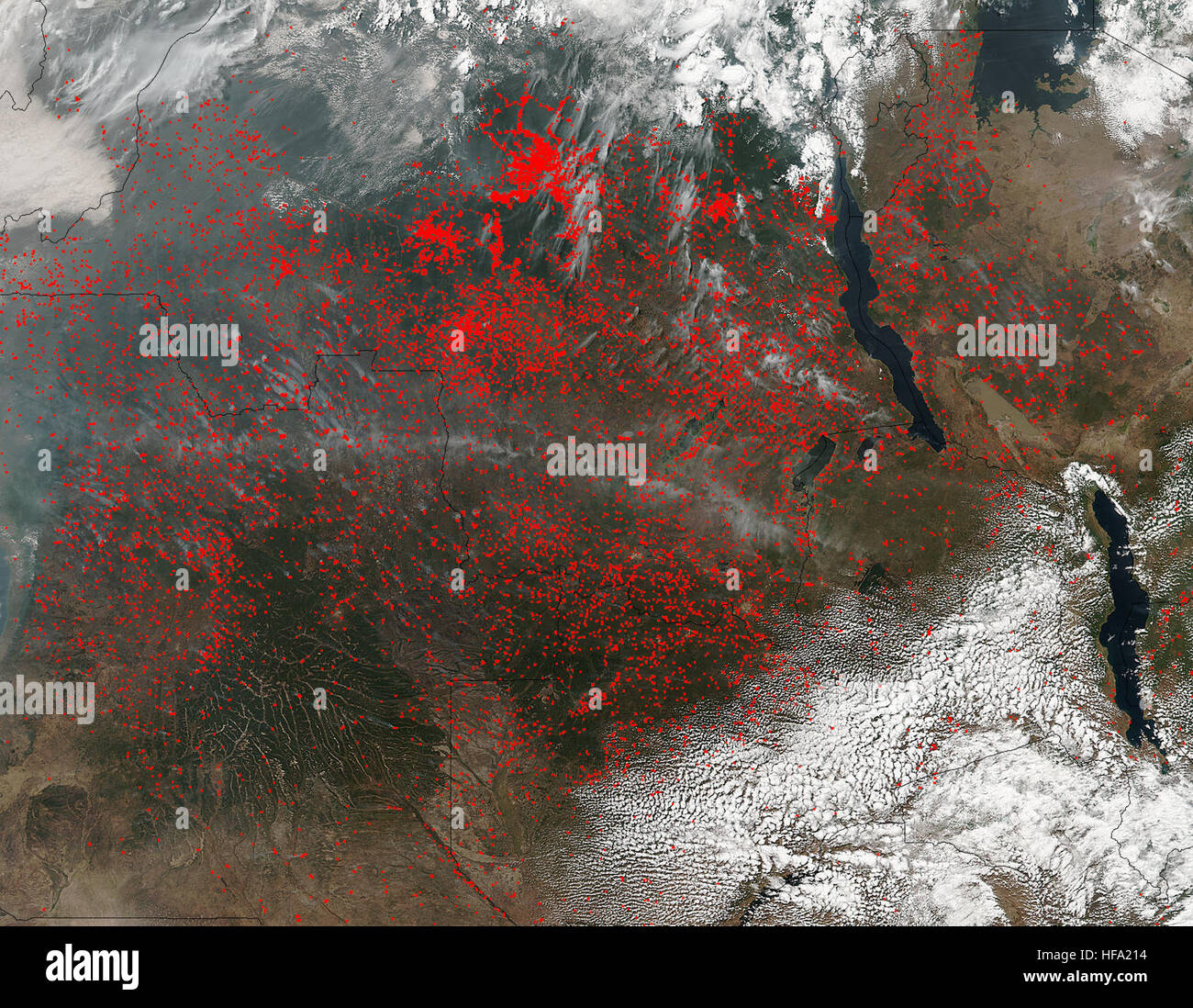 A satellite image shows widespread fire activity across Central Africa ...